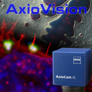 Carl Zeiss Microscopy, LLC - AxioVision Software - Software Axio Vision - AxioVision Basissoftware