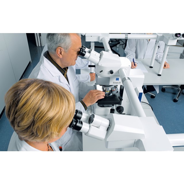Carl Zeiss Microscopy, LLC - Upright microscopes - Axio Scope - Axio ...