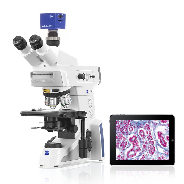 Carl Zeiss Microscopy, LLC - Microscopes - Upright microscopes - Axio ...