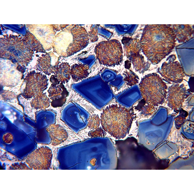 Carl Zeiss Microscopy Deutschland GmbH - Mikroskope - Aufrechte ...